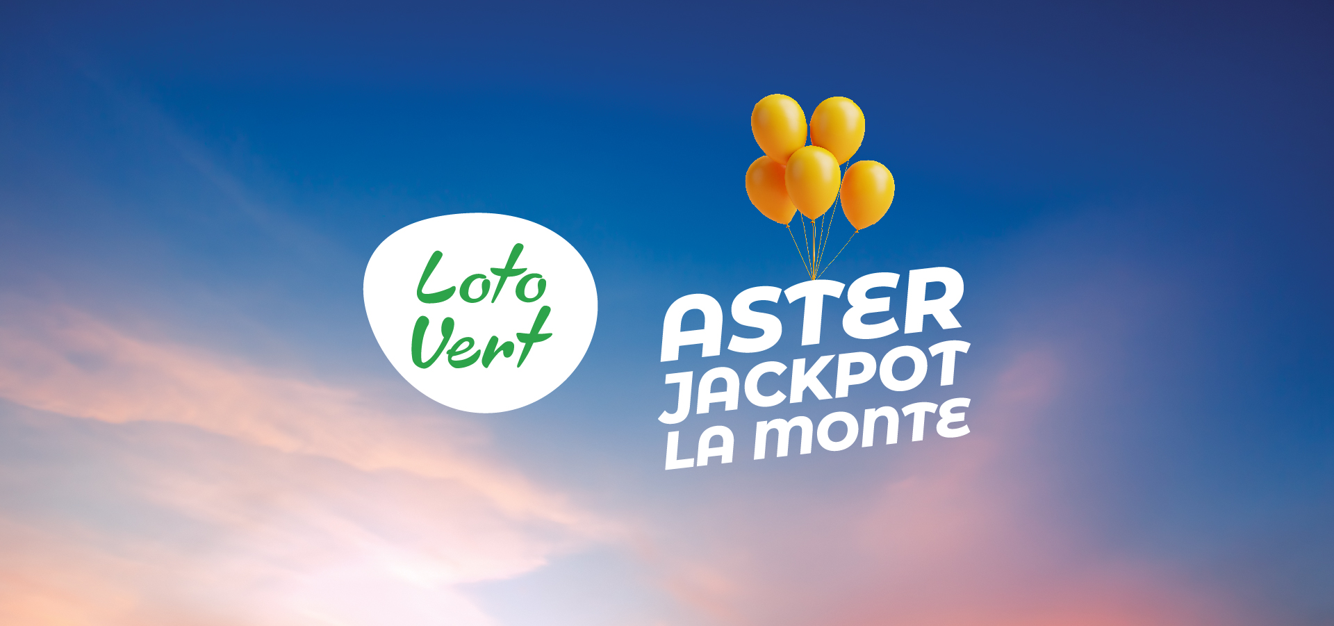 Lotovert Ticket checker - Lottery operator in Mauritius